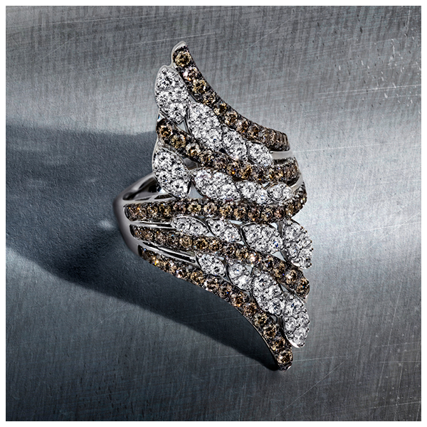 EXPLORE THE COLLECTION